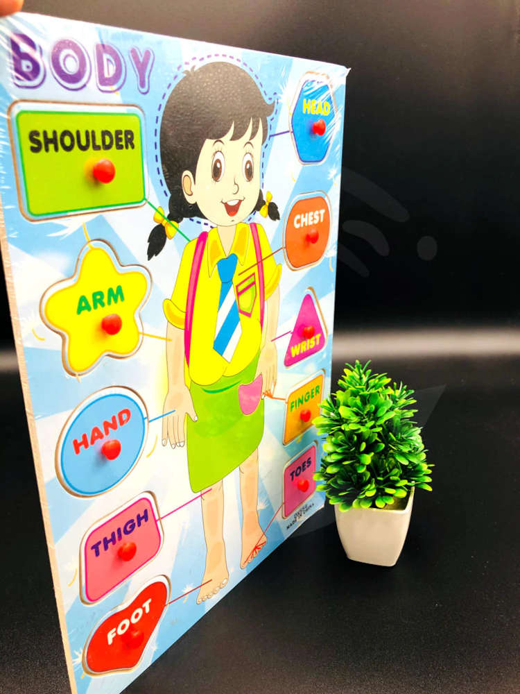 Buy Body Parts Clip Support Board Wooden illustration Board – CopyPencil.pk