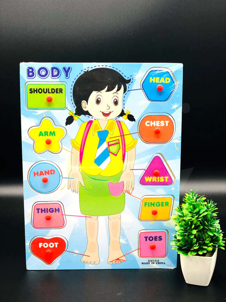 Buy Body Parts Clip Support Board Wooden illustration Board – CopyPencil.pk