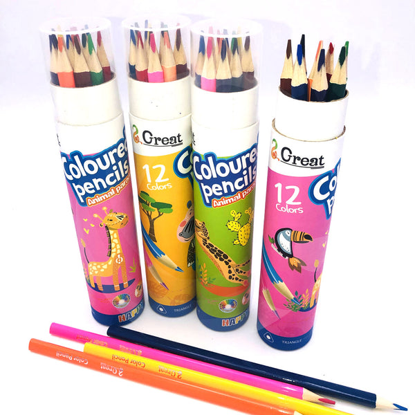 Drawing Color Pencil Box Large Size for kids 12 Colors – CopyPencil.pk
