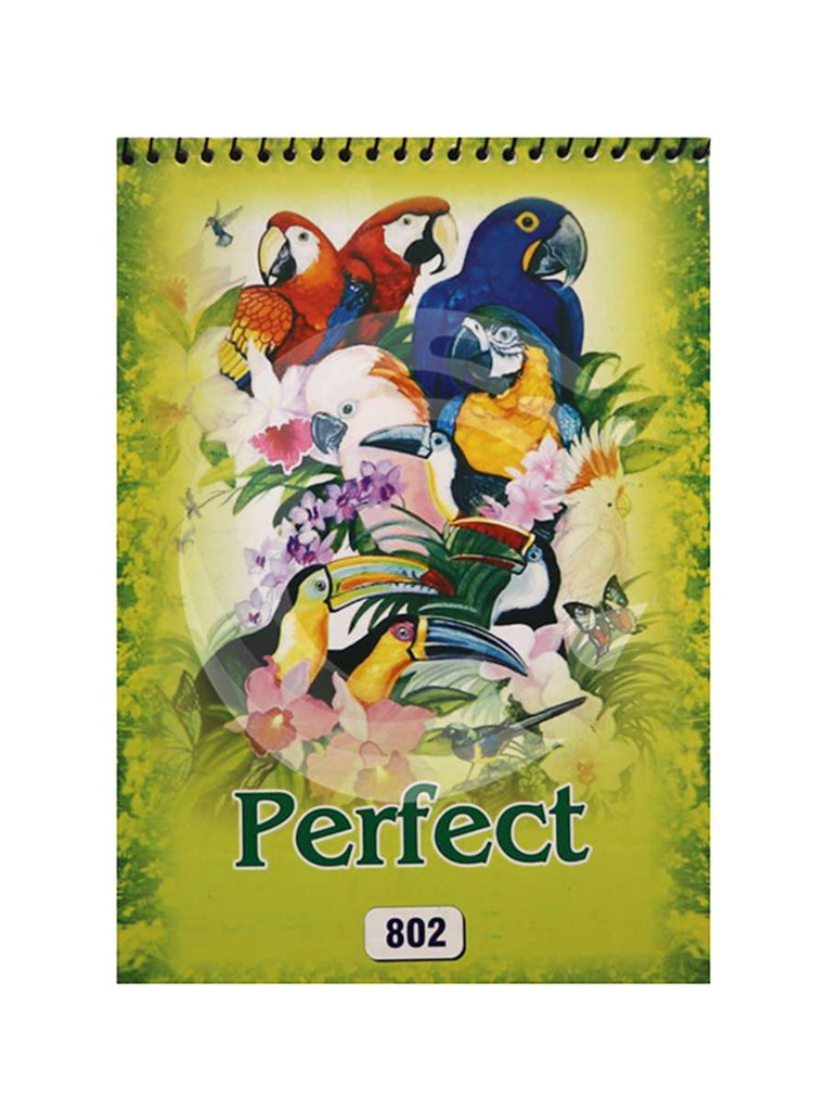 Buy Perfect Sketch Book 20 Sheets Of A4 Size – CopyPencil.pk