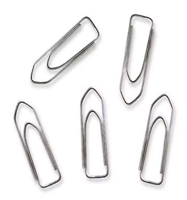 Three Flowers-Paper Clips 30mm – CopyPencil.pk